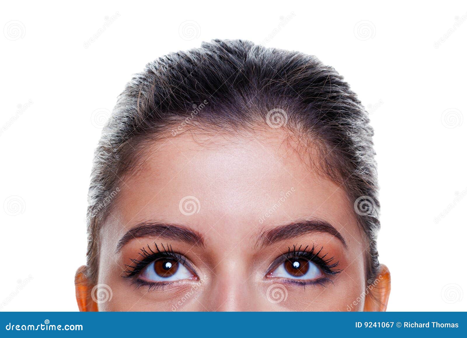 Brown Eyes Looking Up Royalty Free Stock Photography - Image: 9241067 Brown Eyes Looking Up Royalty Free Stock Photography - Image: 9241067