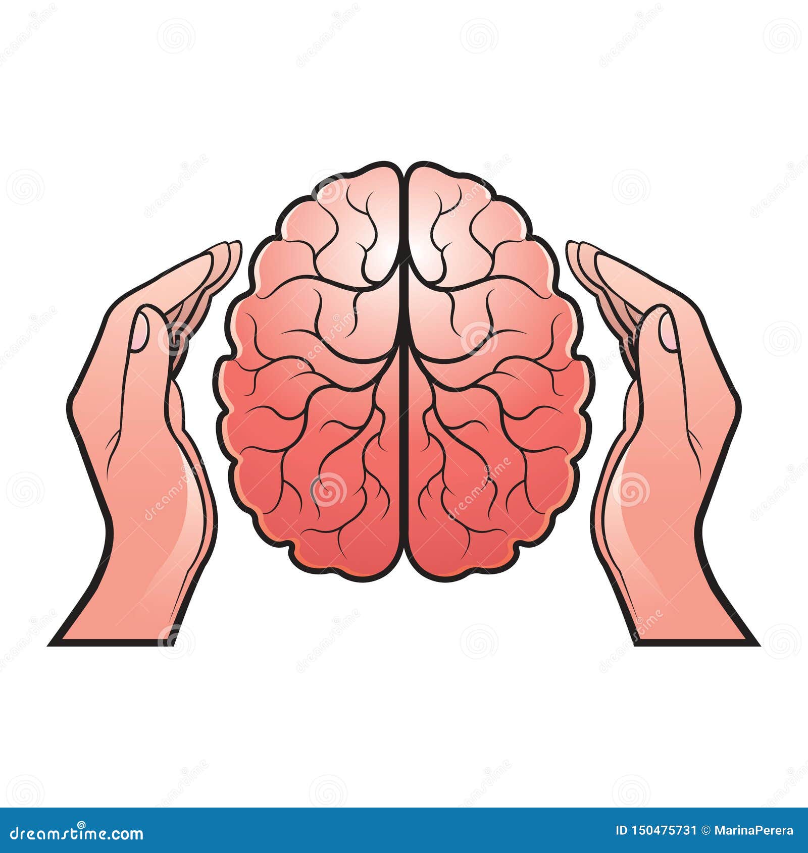 Cerebro Humano Y Dos Manos Aislados En Blanco Ilustraci N Del Vector