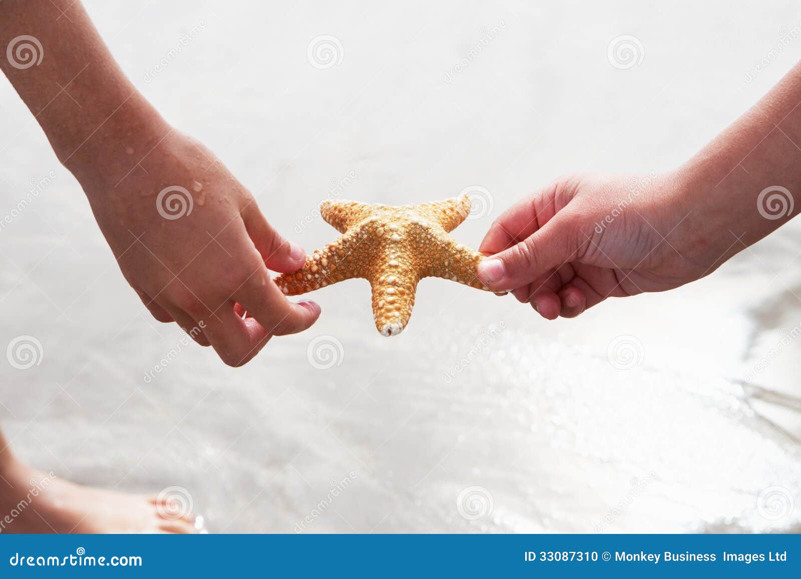 Children Discovering Starfish On Beach Stock Photo - Image: 33087310 Children Discovering Starfish On Beach Stock Photo - Image: 33087310