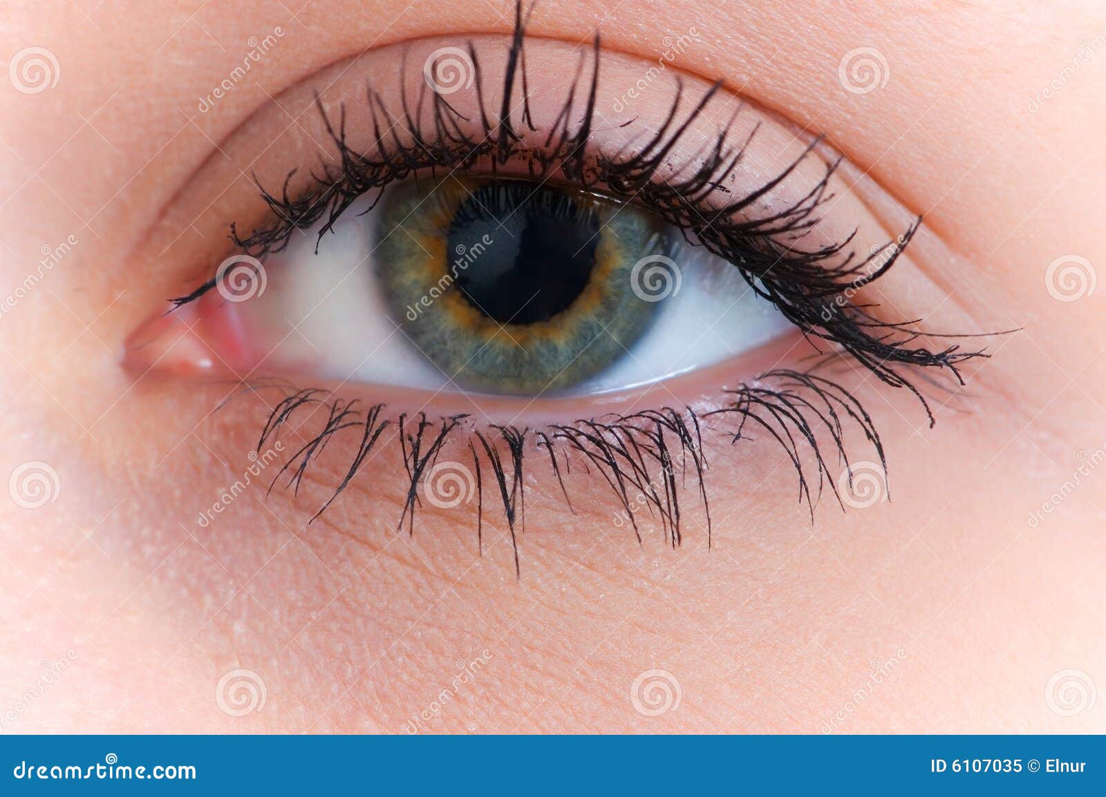 Close Up Of The Human Eye Royalty Free Stock Photo - Image: 6107035 Close Up Of The Human Eye Royalty Free Stock Photo - Image: 6107035