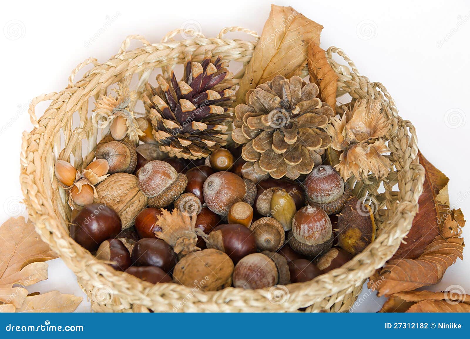 De Vruchten Van De Herfst In Mand Stock Fotografie - Beeld: 27312182 De Vruchten Van De Herfst In Mand Stock Fotografie - Beeld: 27312182