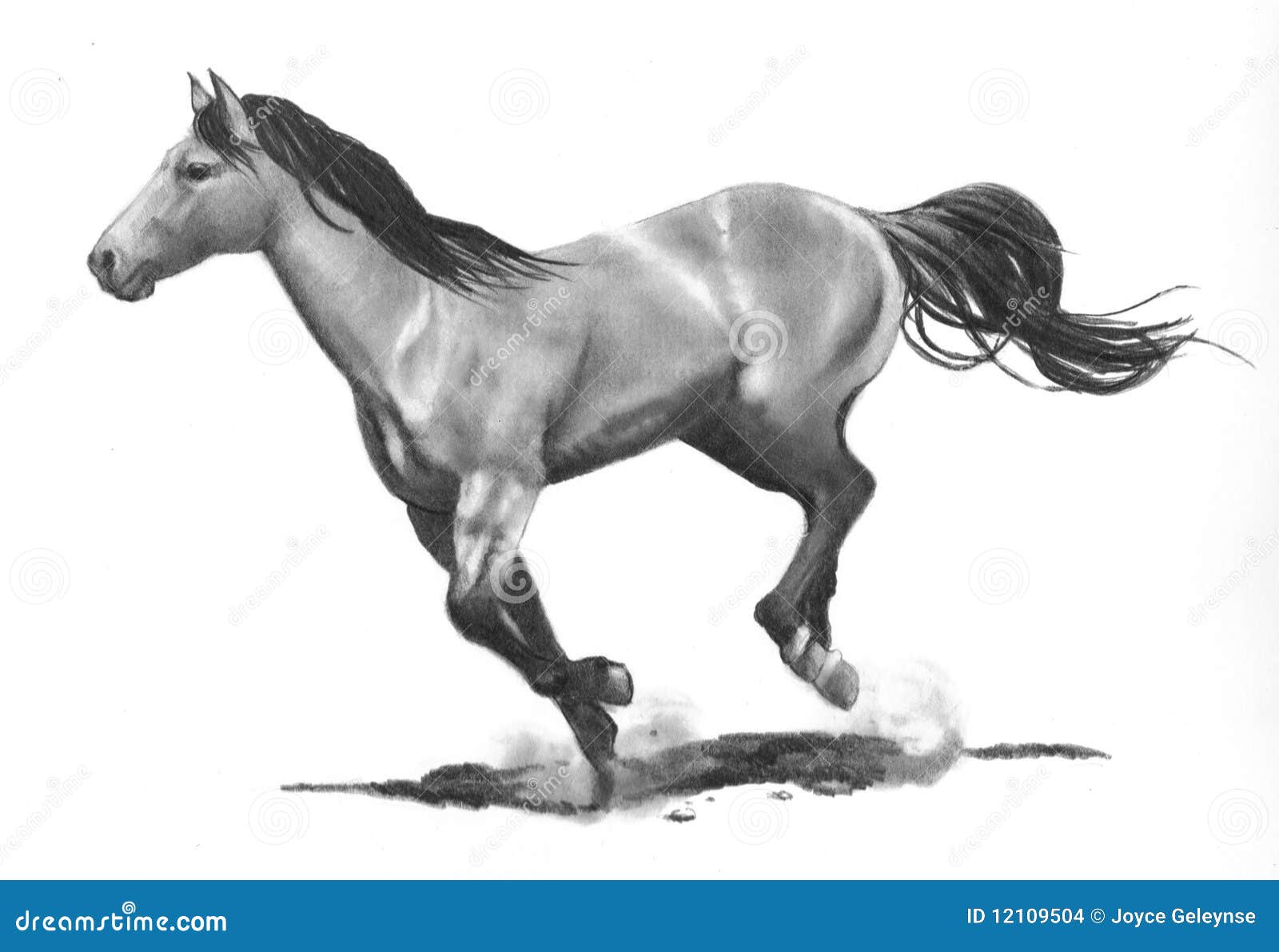 Dessin Au Crayon De Cheval Courant Images stock - Image: 12109504 Dessin Au Crayon De Cheval Courant Images stock - Image: 12109504