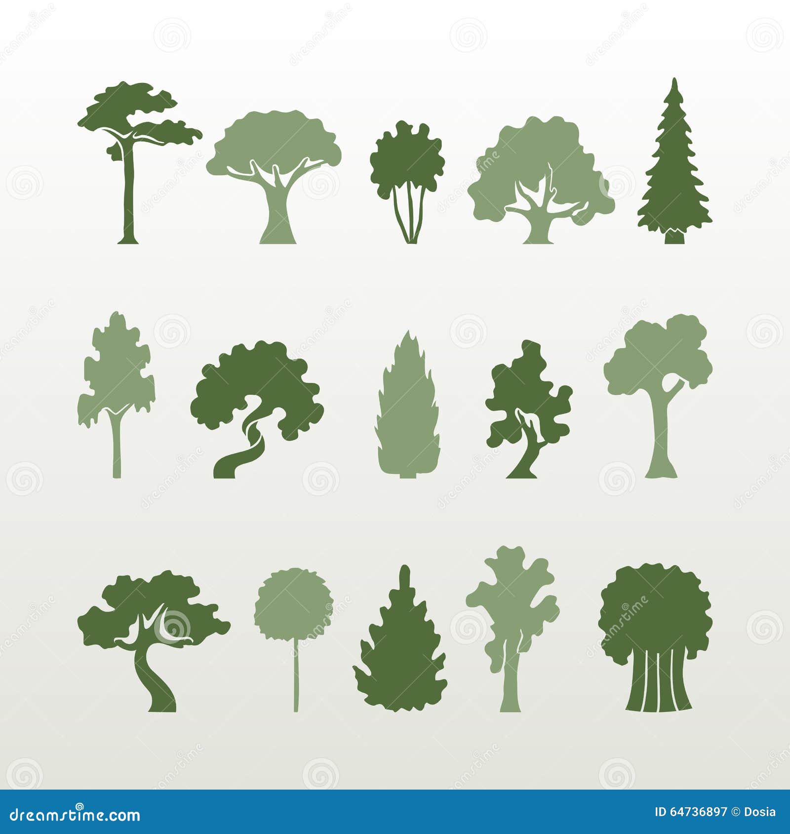 Different Types Of Trees Vector. Stock Vector - Image: 64736897 Different Types Of Trees Vector. Stock Vector - Image: 64736897