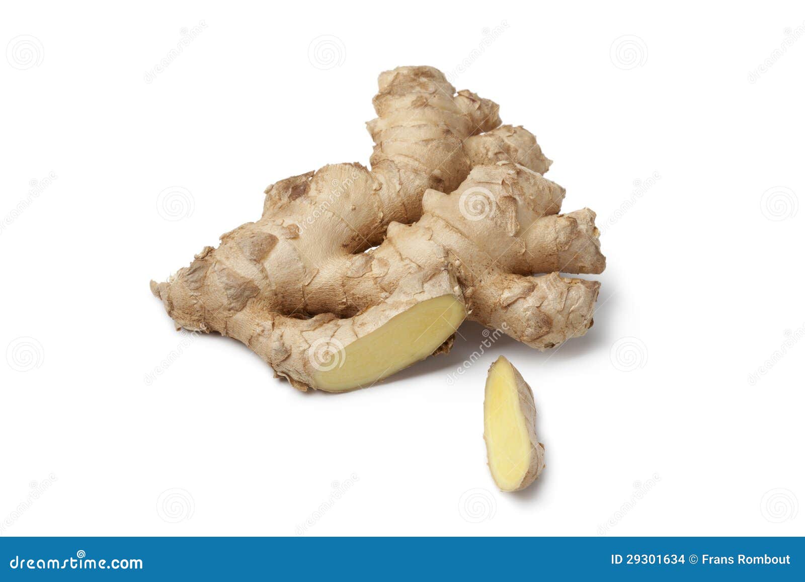 Fresh Wild Ginger Root Stock Images - Image: 29301634 Fresh Wild Ginger Root Stock Images - Image: 29301634