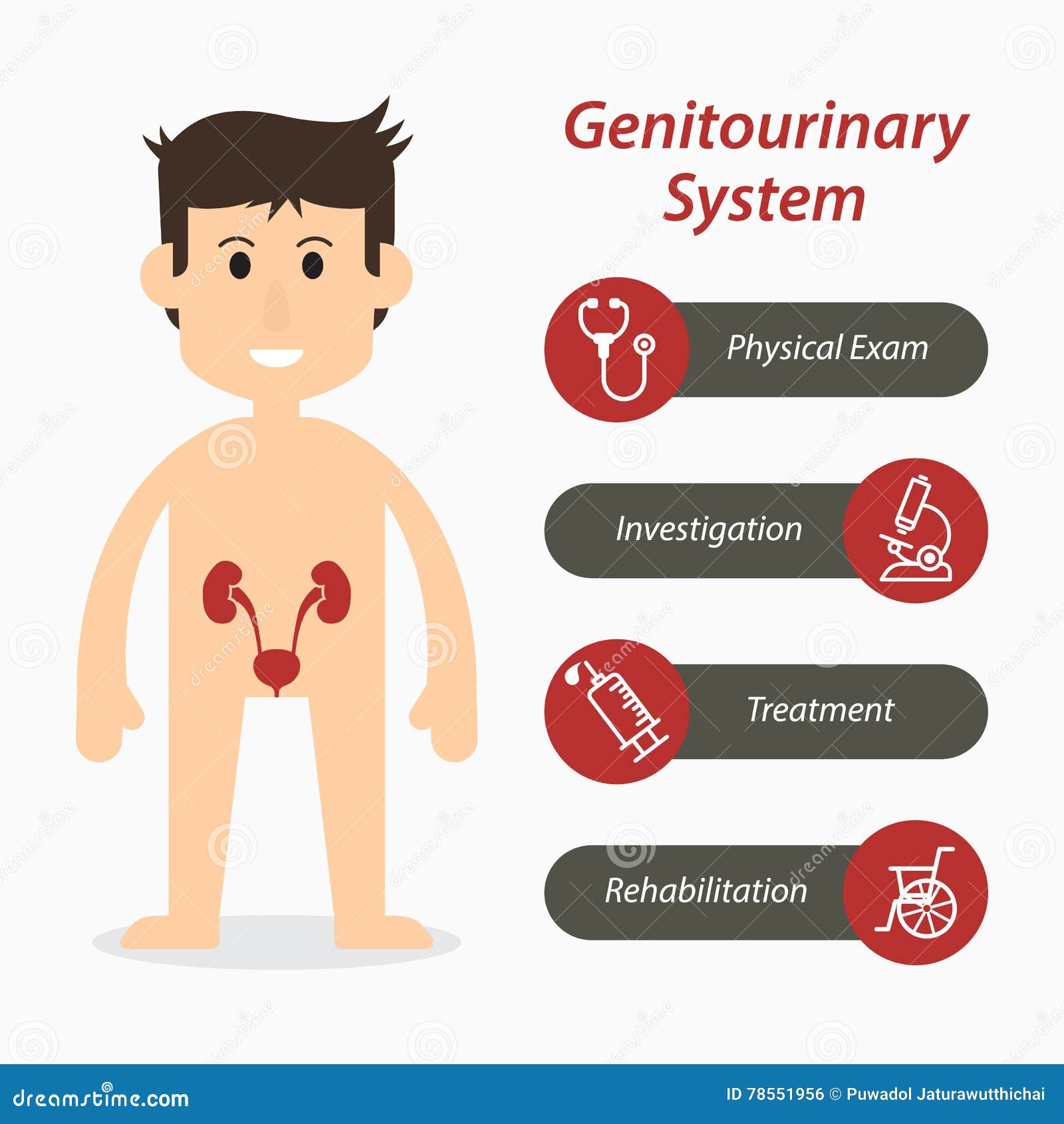 Genitourinary Cartoons, Illustrations & Vector Stock Images - 24 ... Genitourinary Cartoons, Illustrations & Vector Stock Images - 24 ...