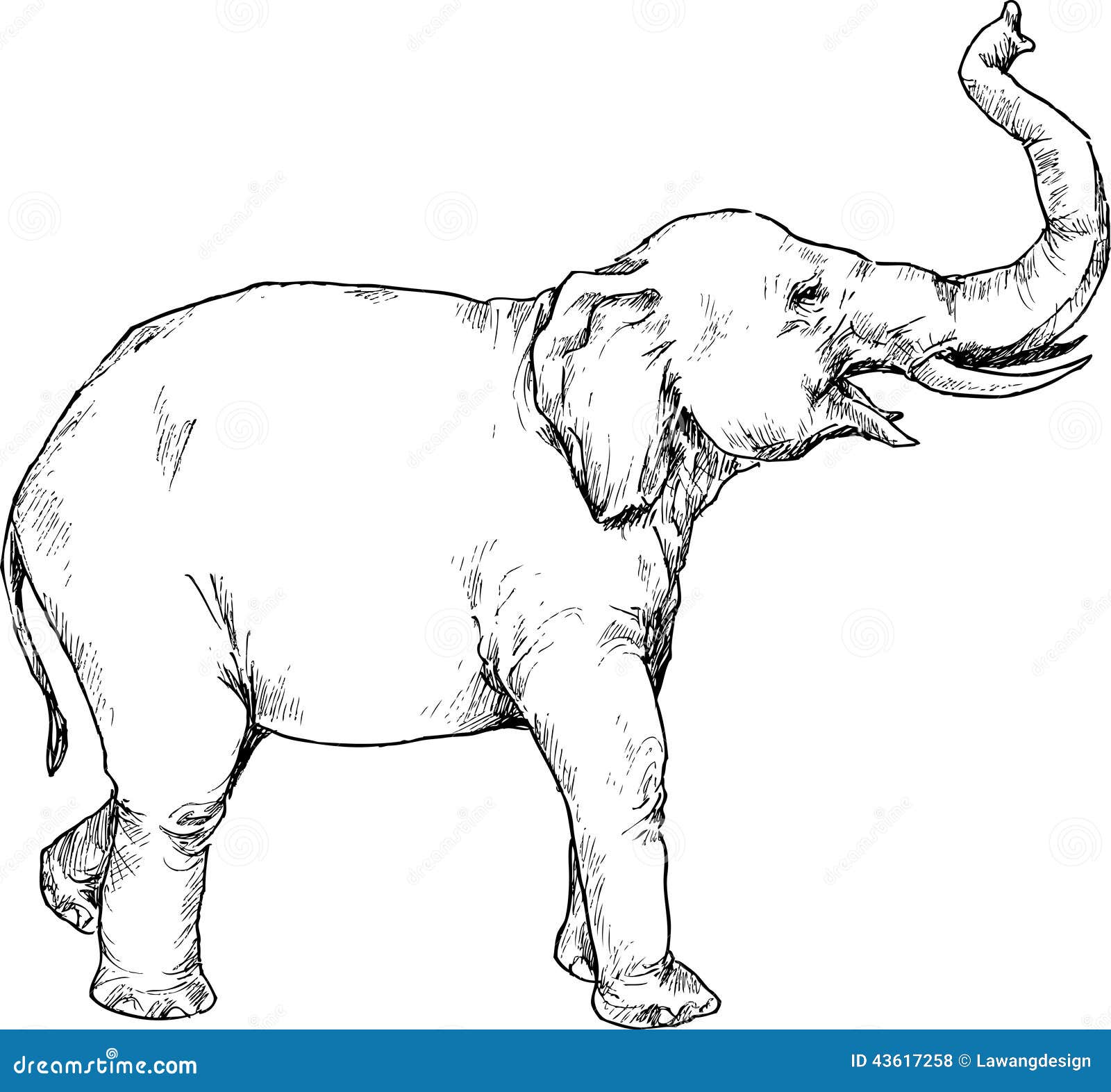 Hand Drawn Elephant Stock Vector - Image: 43617258 Hand Drawn Elephant Stock Vector - Image: 43617258