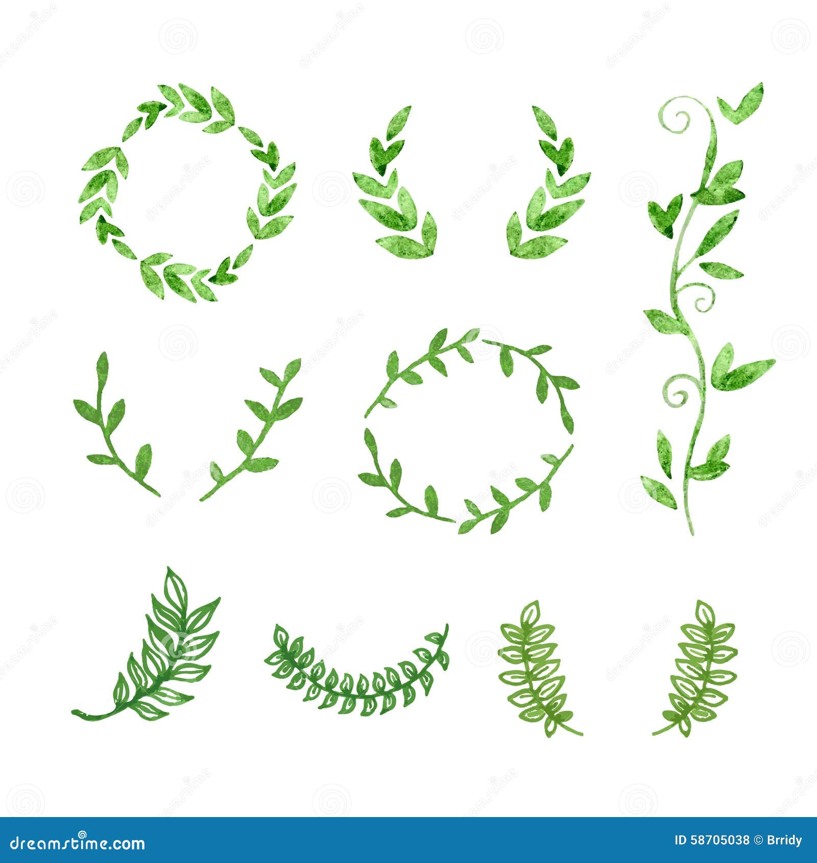 Hand Drawn Watercolor Green Natural Frames Stock Vector Image 58705038