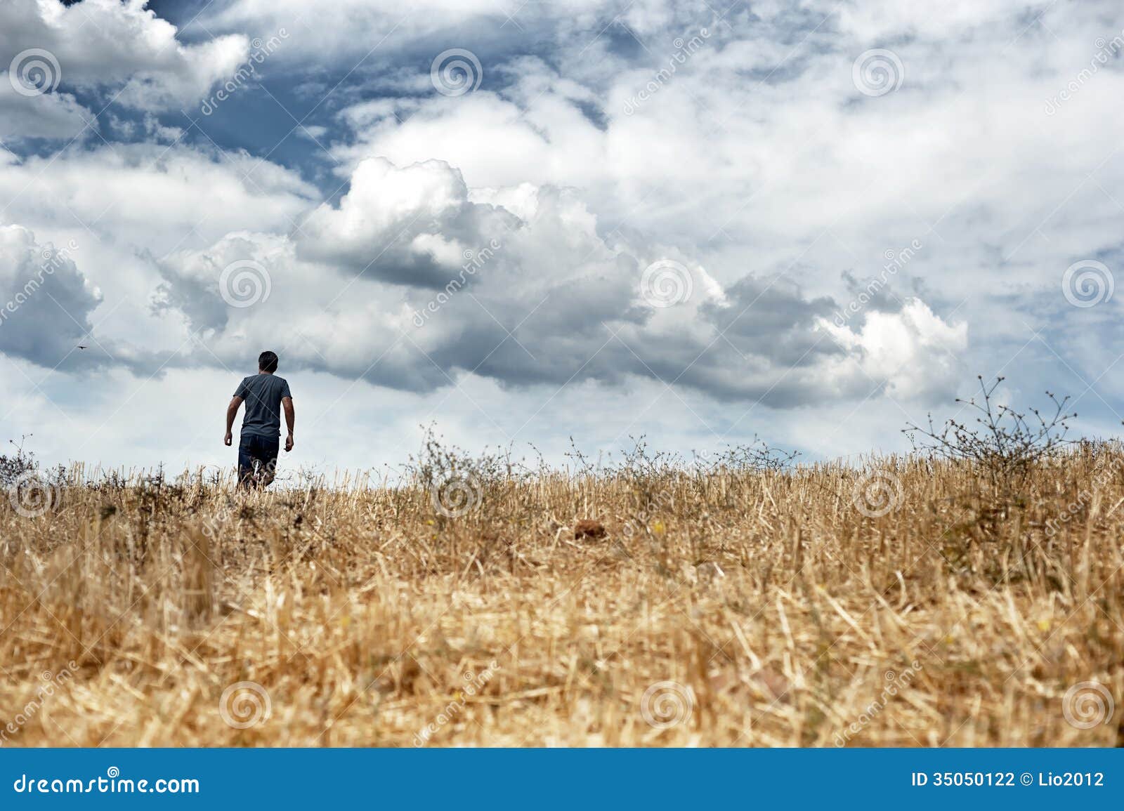 Man Walking In A Field Stock Photography - Image: 35050122 Man Walking In A Field Stock Photography - Image: 35050122