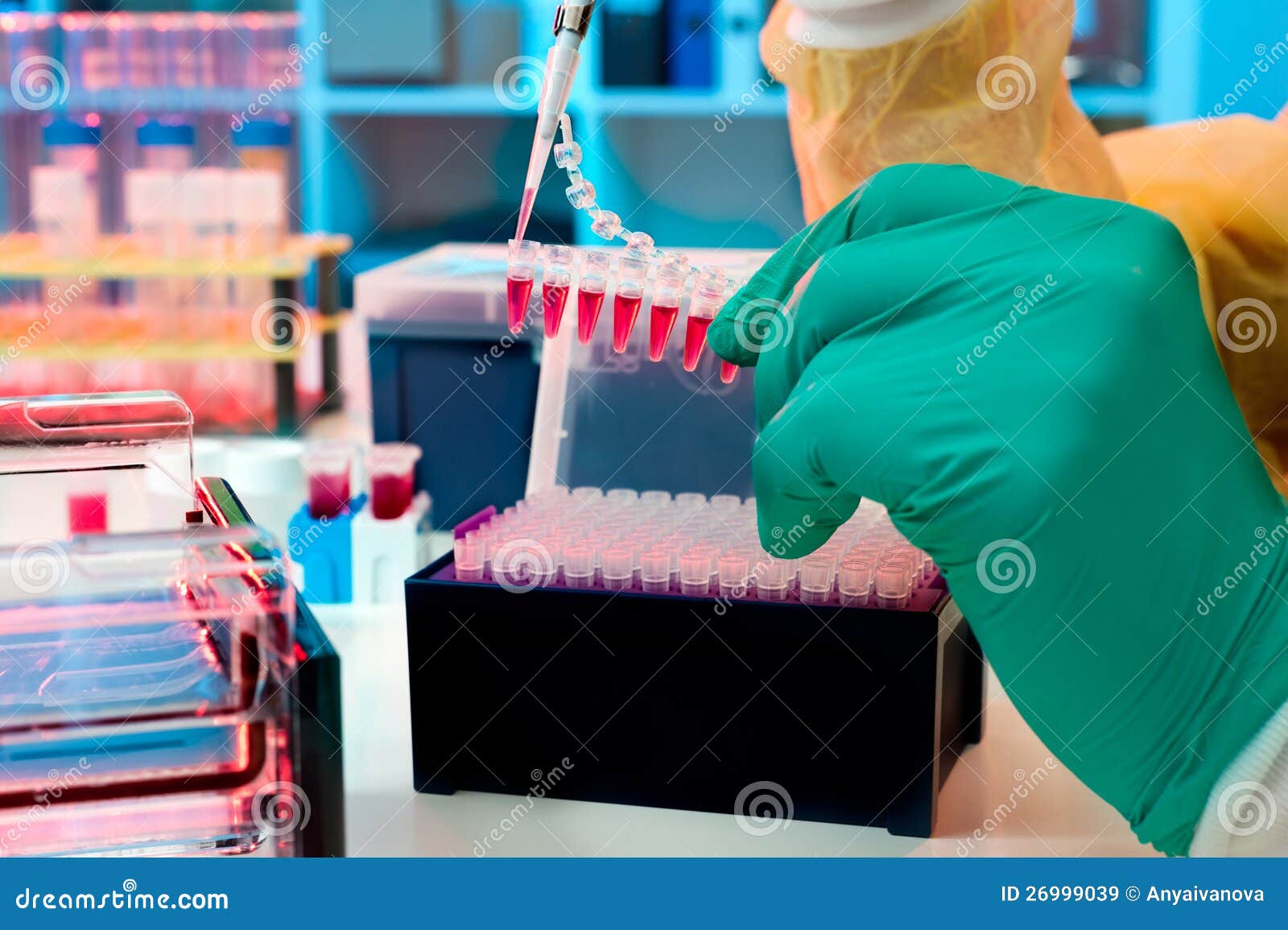 Molecular Biology In The Lab Royalty Free Stock Images - Image: 26999039 Molecular Biology In The Lab Royalty Free Stock Images - Image: 26999039