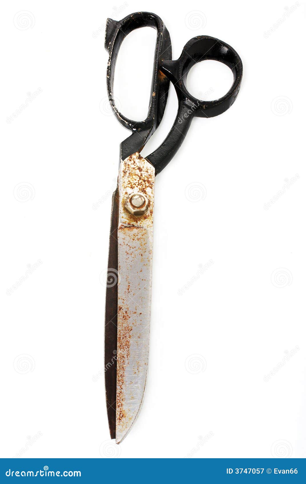 Old Scissors Royalty Free Stock Photography - Image: 3747057 Old Scissors Royalty Free Stock Photography - Image: 3747057