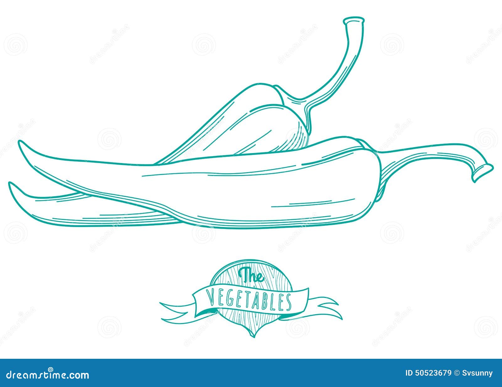 Outline Hand Drawn Sketch Of Chilli Pepper (flat Style, Thin Li Stock ... Outline Hand Drawn Sketch Of Chilli Pepper (flat Style, Thin Li Stock ...
