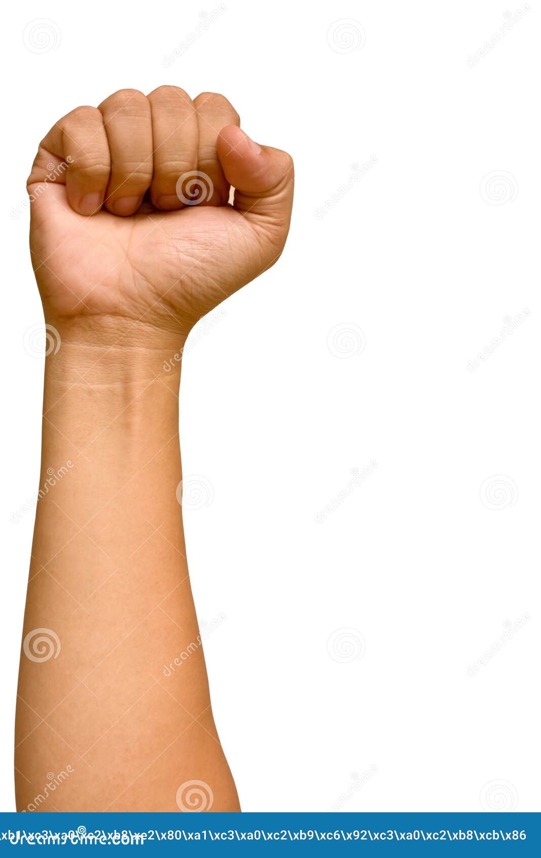 Raising A Fist. Stock Photography - Image: 20515412 Raising A Fist. Stock Photography - Image: 20515412