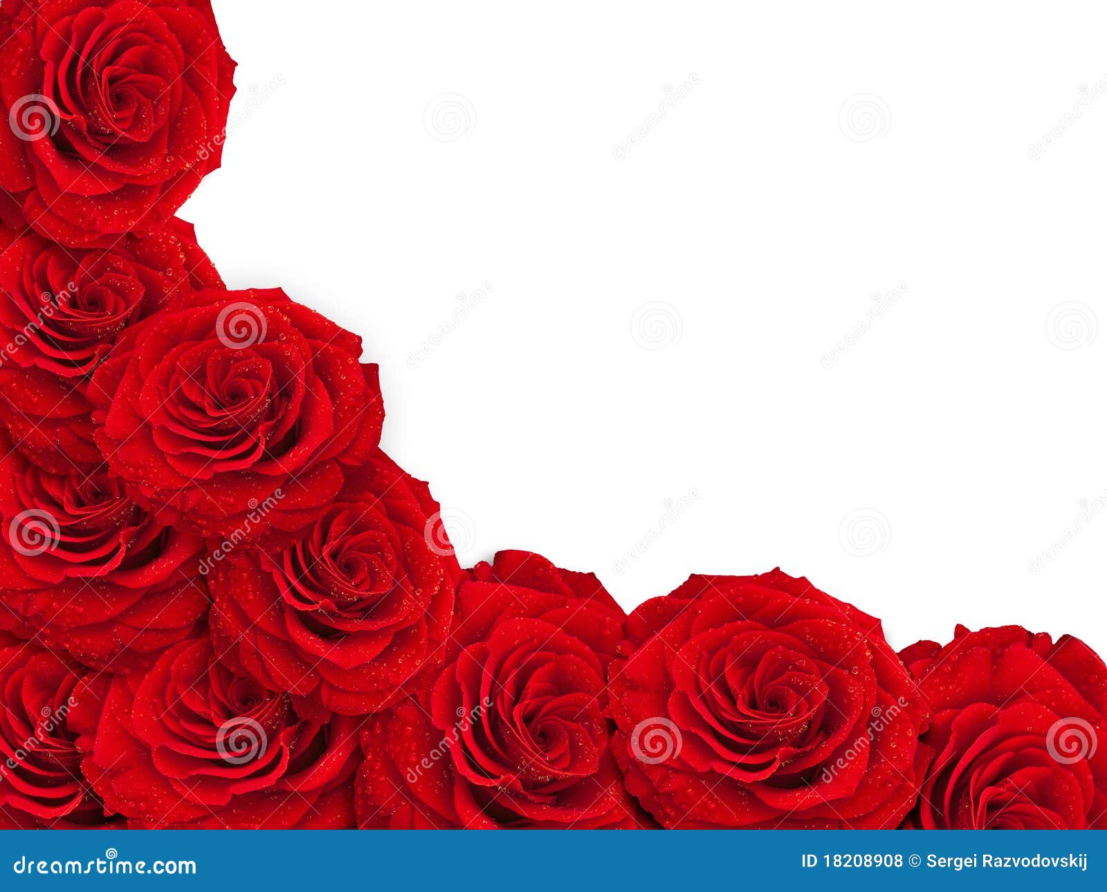 Roses Frame Royalty Free Stock Photos - Image: 18208908 Roses Frame Royalty Free Stock Photos - Image: 18208908
