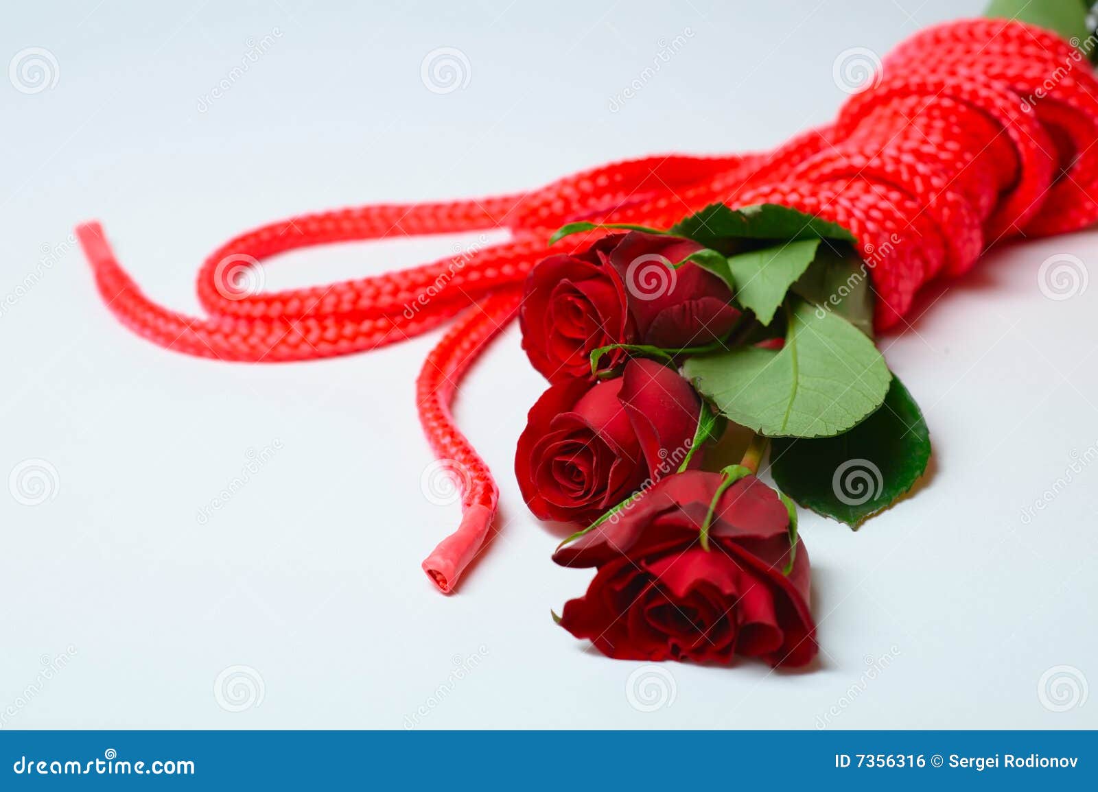 Roses And Ropes Royalty Free Stock Image Image 7356316