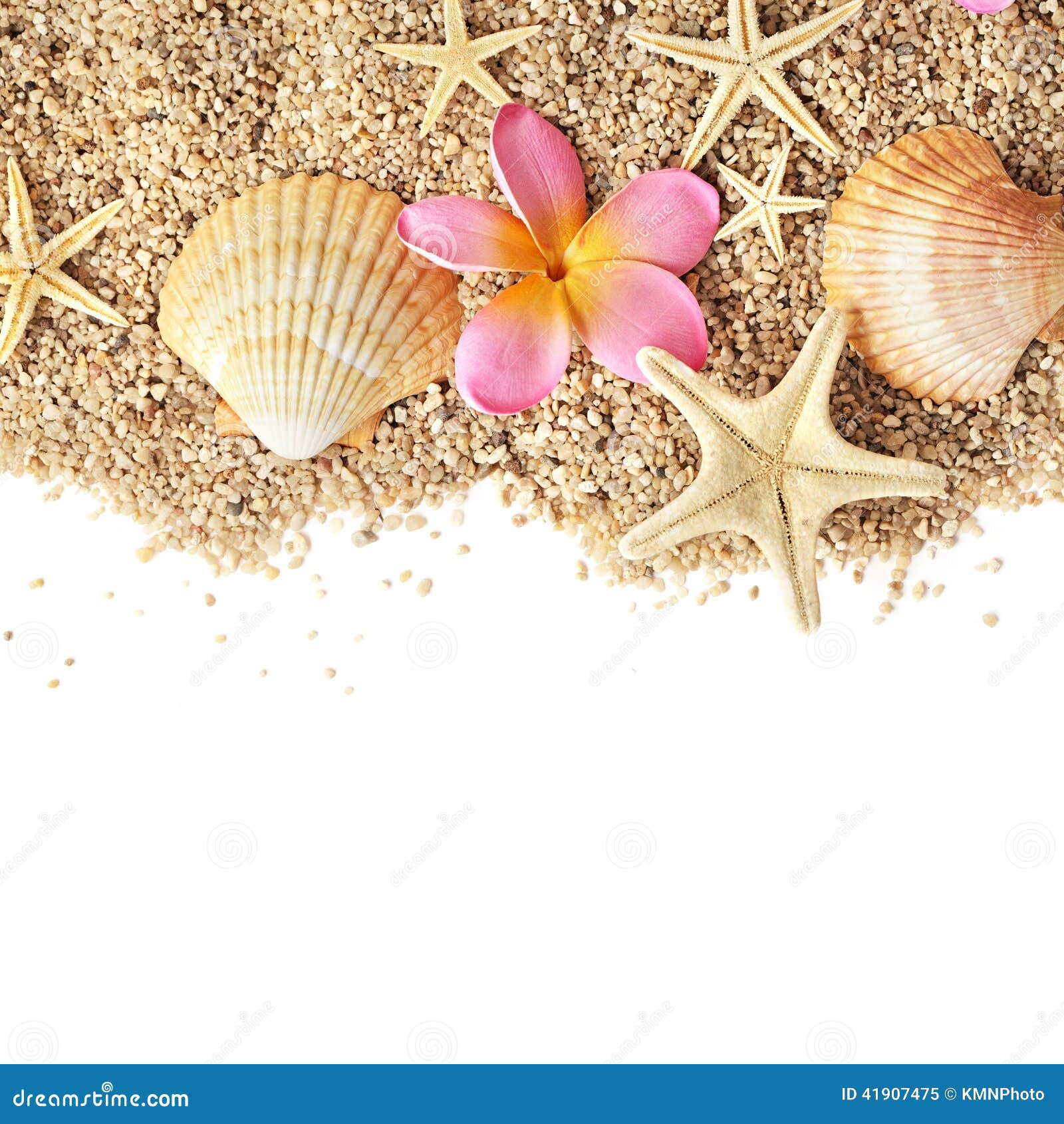 Seashells Border Stock Photo - Image: 41907475 Seashells Border Stock Photo - Image: 41907475