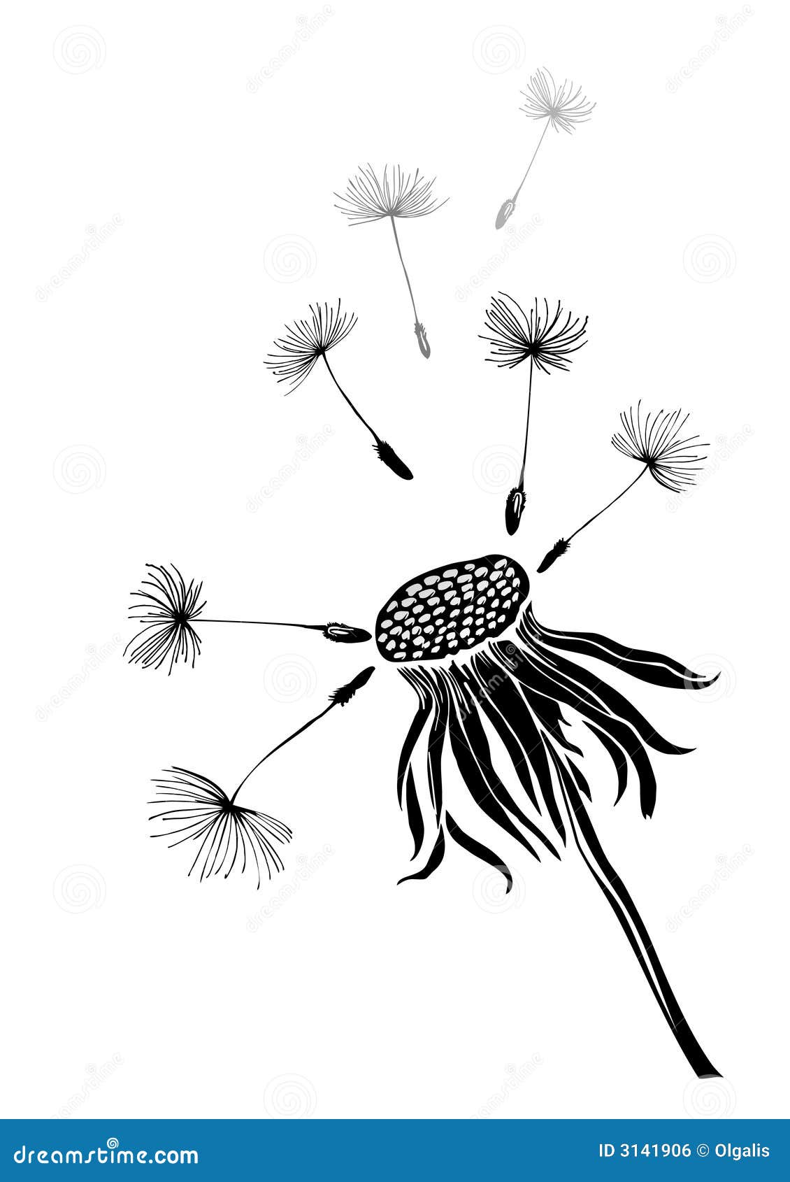 Silhouette Of Dandelion Royalty Free Stock Image - Image: 3141906 Silhouette Of Dandelion Royalty Free Stock Image - Image: 3141906