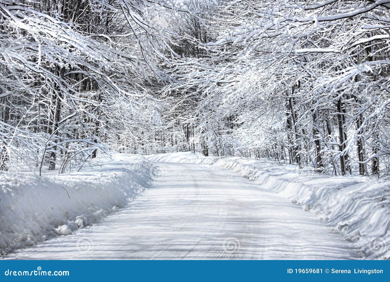 Snow Covered Road Stock Image - Image: 19659681 Snow Covered Road Stock Image - Image: 19659681