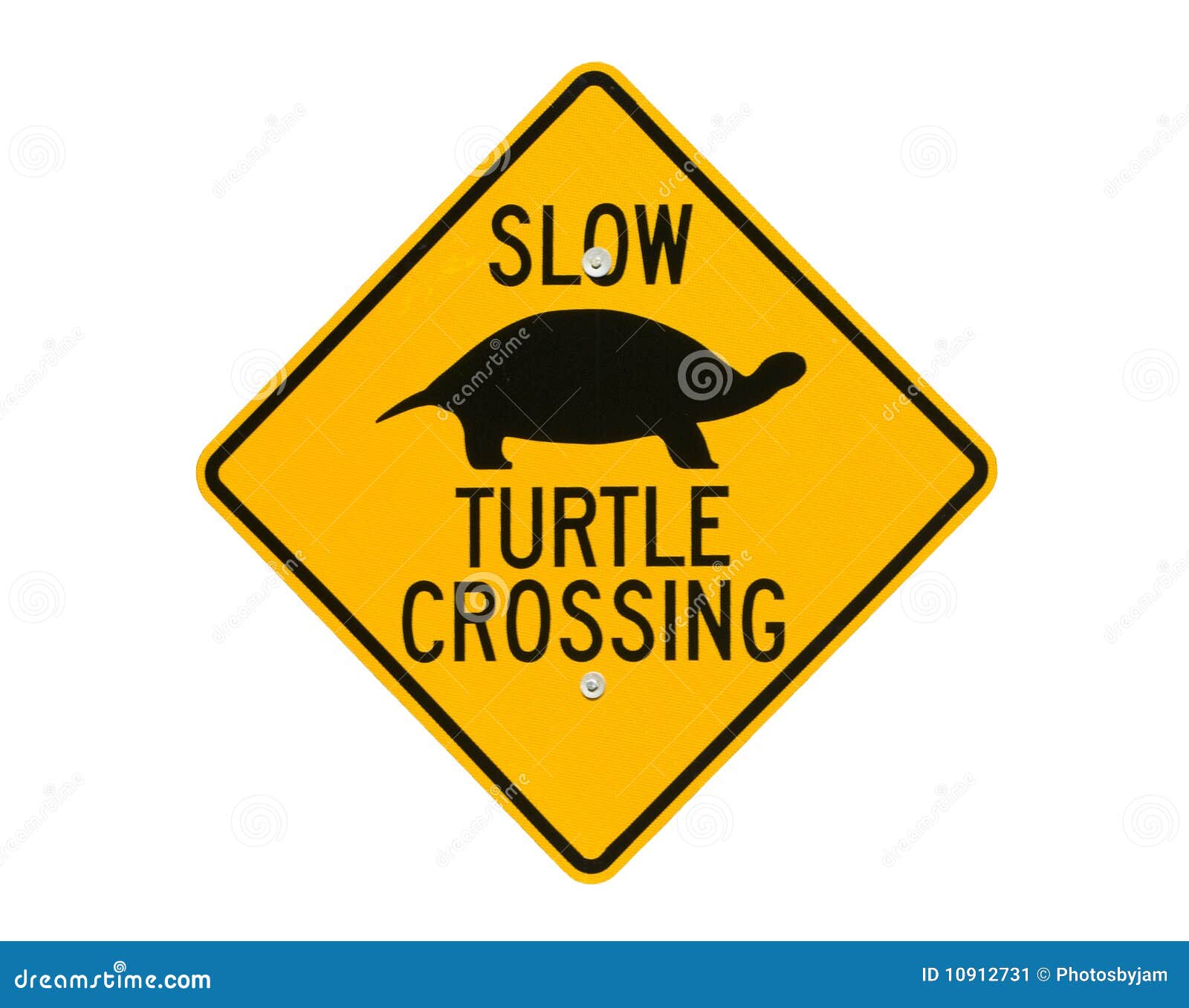 Turtle Road Crossing Sign Stock Image - Image: 10912731 Turtle Road Crossing Sign Stock Image - Image: 10912731