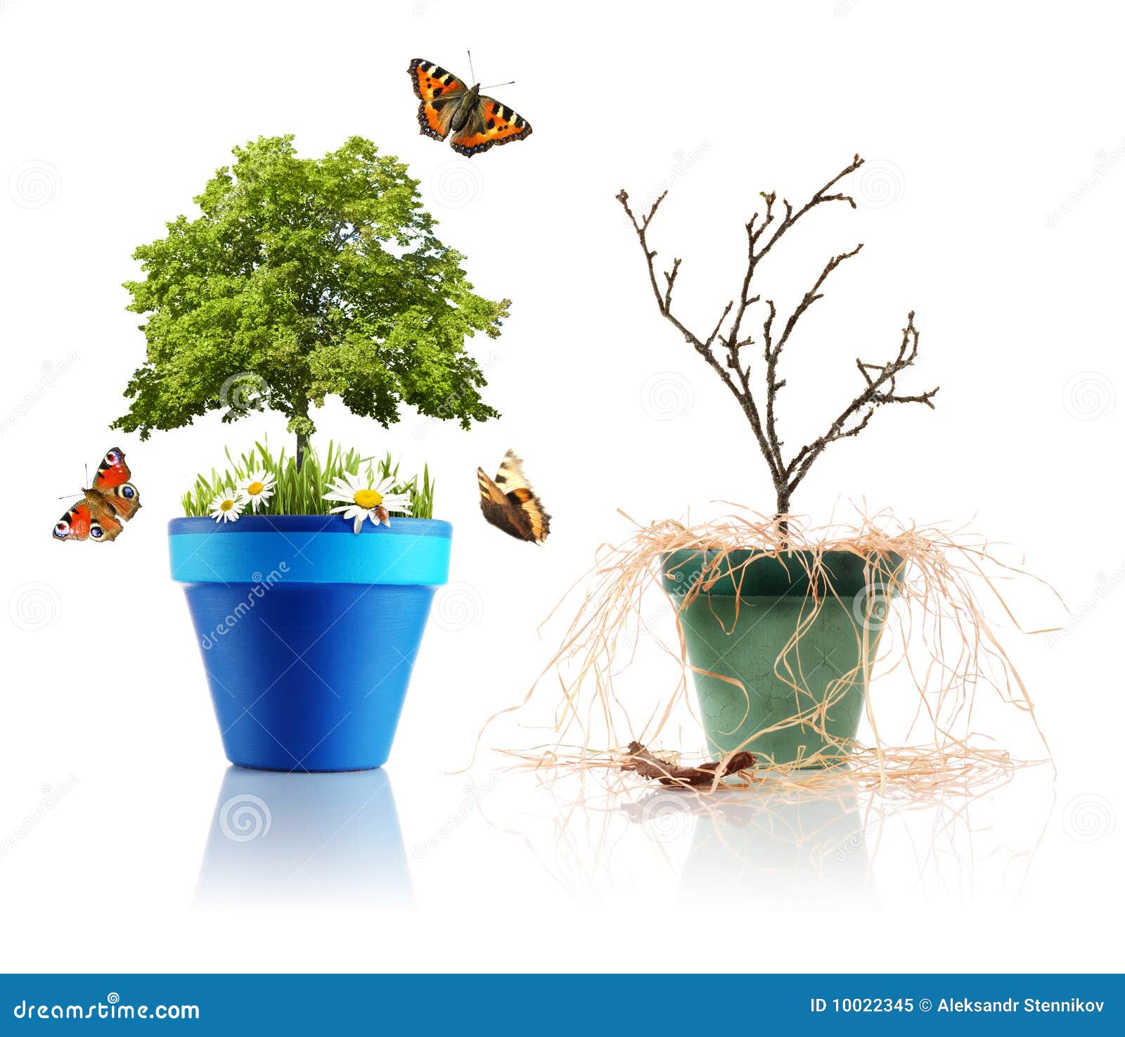 Two Different Environments Royalty Free Stock Photo - Image: 10022345 Two Different Environments Royalty Free Stock Photo - Image: 10022345