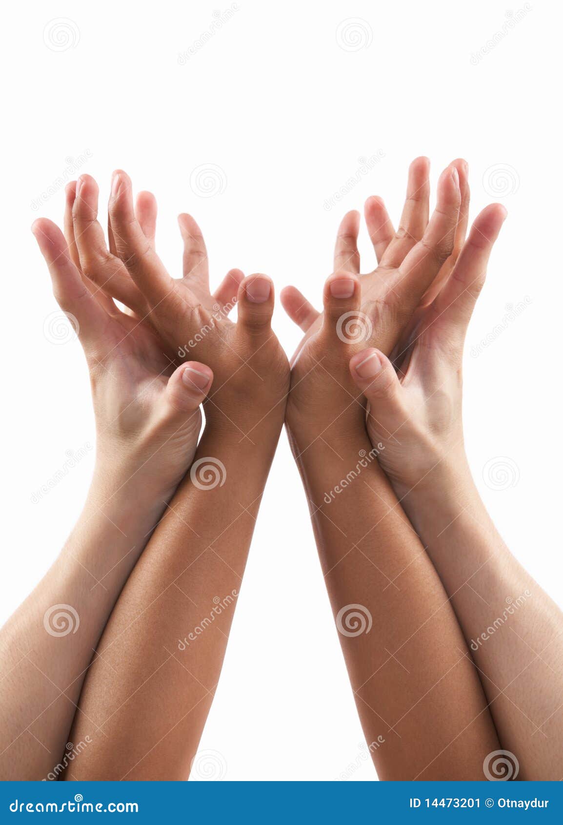 United Supporting Hand Gesture Stock Image - Image: 14473201 United Supporting Hand Gesture Stock Image - Image: 14473201