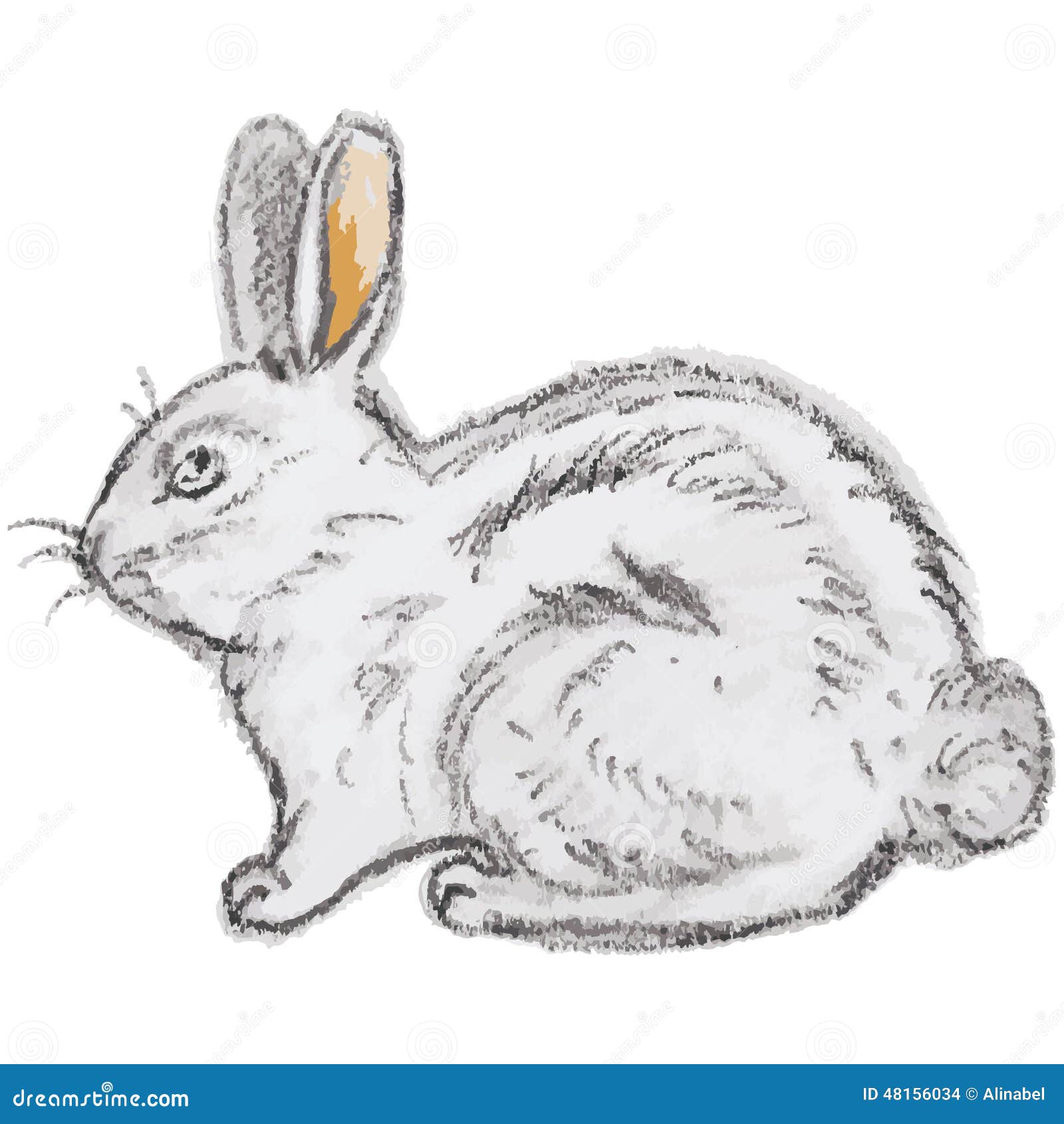 Vector Illustration Of Hand Drawn Rabbit Stock Vector - Image: 48156034 Vector Illustration Of Hand Drawn Rabbit Stock Vector - Image: 48156034
