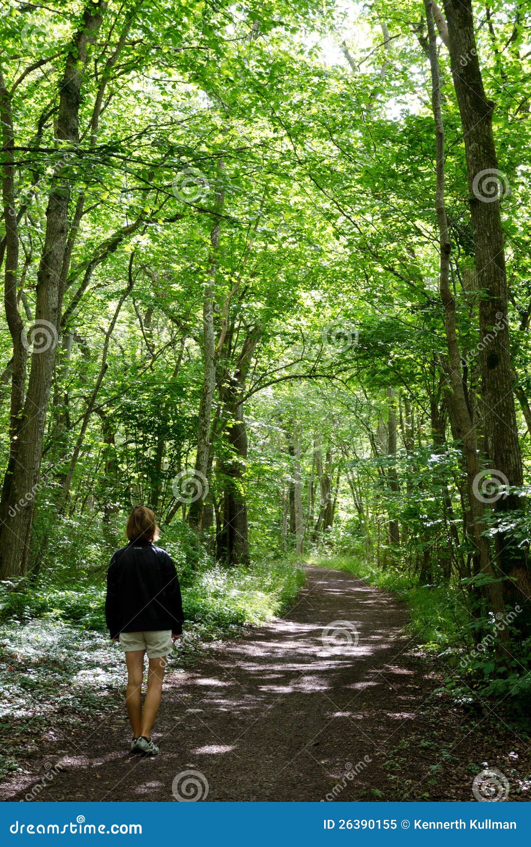 Walking Woman In Forest Royalty Free Stock Photo - Image: 26390155 Walking Woman In Forest Royalty Free Stock Photo - Image: 26390155