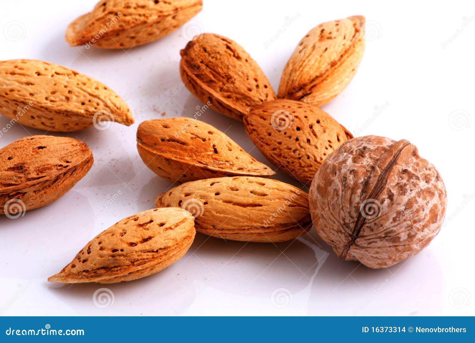 Walnuts Vs Almonds Stock Images - Image: 16373314 Walnuts Vs Almonds Stock Images - Image: 16373314