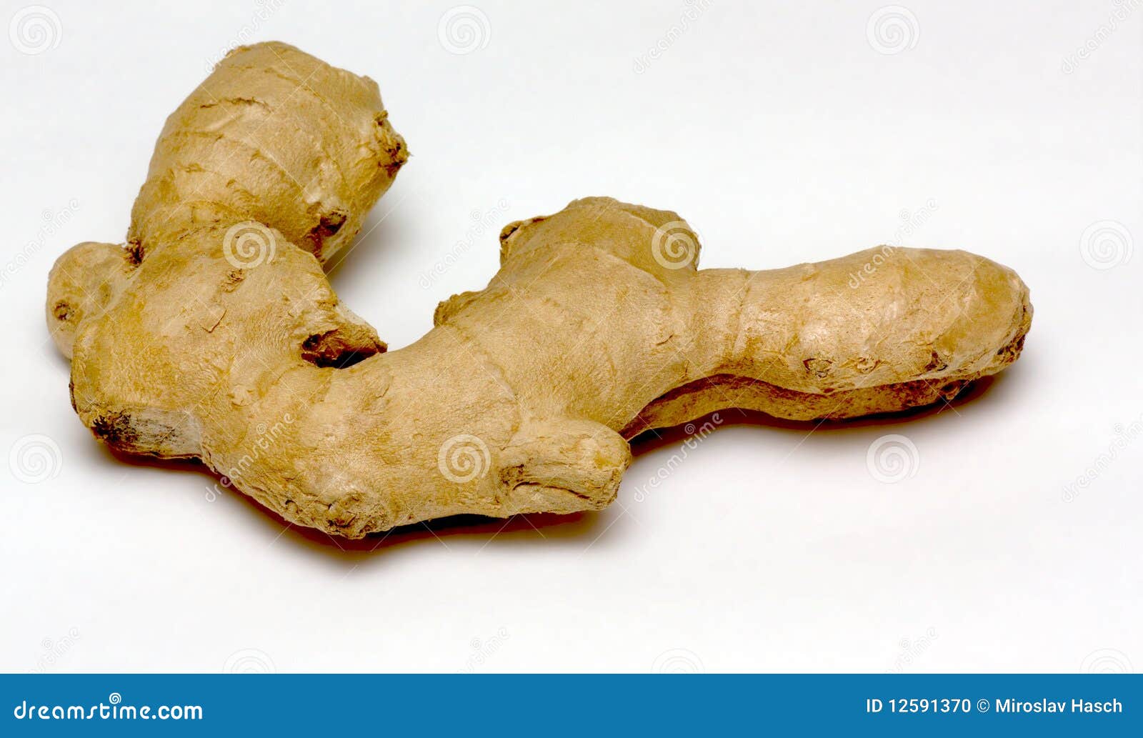 Whole Ginger Root Stock Photo - Image: 12591370 Whole Ginger Root Stock Photo - Image: 12591370