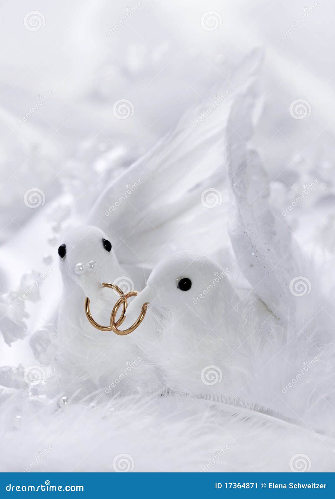 Witte Duiven Stock Afbeelding - Afbeelding: 17364871 Witte Duiven Stock Afbeelding - Afbeelding: 17364871