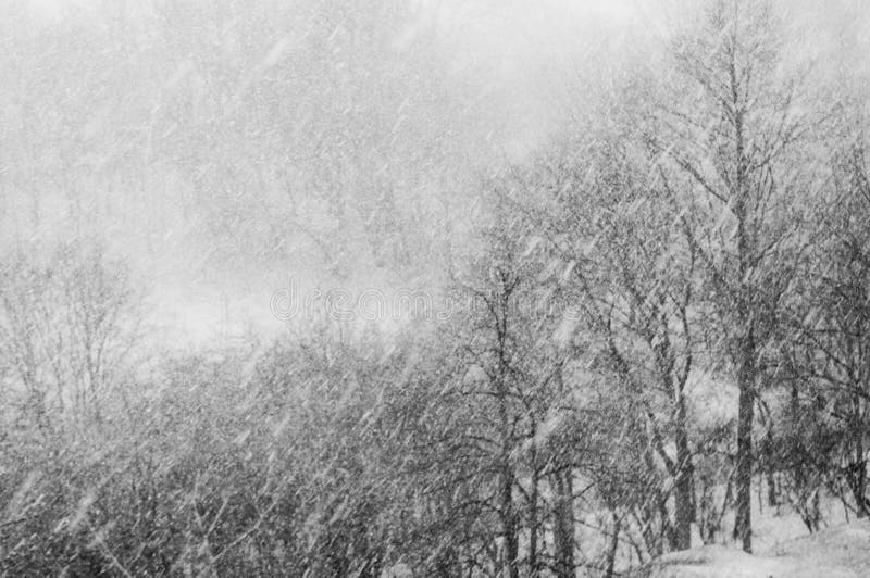 ¡Está nevando! foto de archivo. Imagen de cubierto, diciembre - 7267534