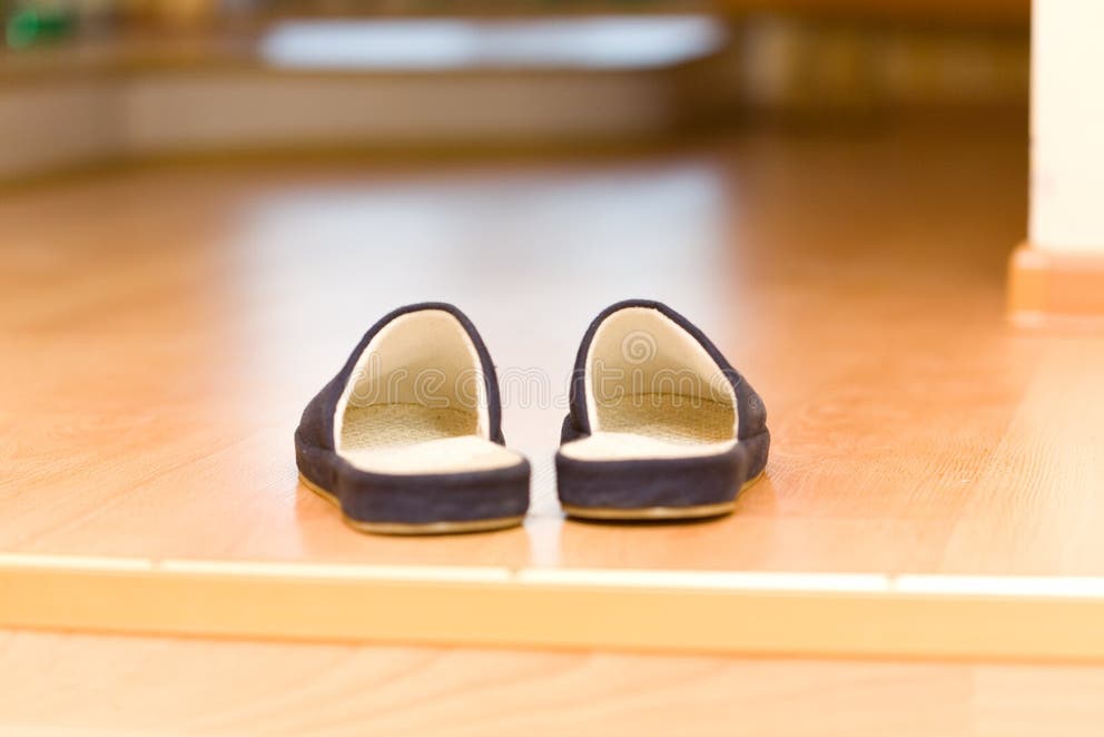 ¡Hogar agradable! #1 imagen de archivo. Imagen de manera - 4391027