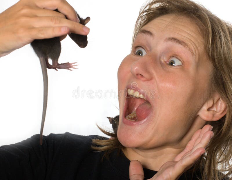 Mujer Con Una Rata En Su Cabeza Foto de archivo - Imagen de diversión ...