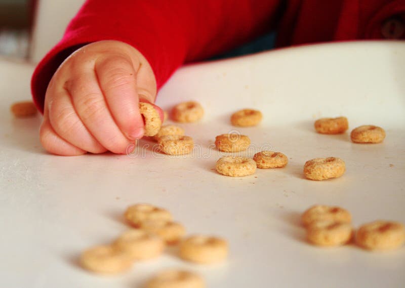 ¡Tiempo del bocado! imagen de archivo. Imagen de redondo - 4847325