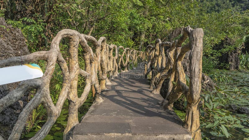 A Pedestrian Path with a Railing of Intertwined Branches Goes Forward ...