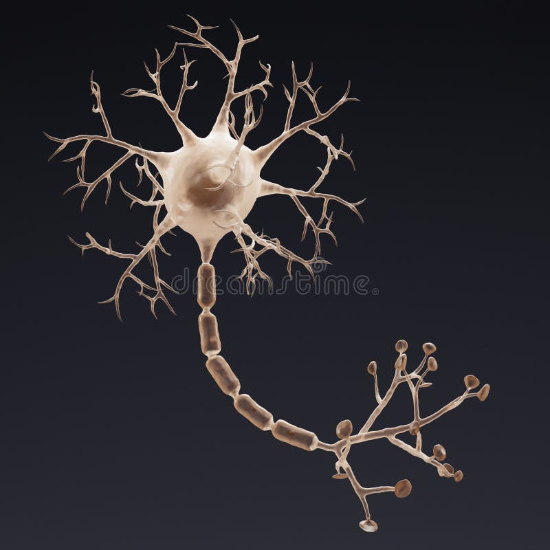 3.ª Representación De Neurona Stock de ilustración - Ilustración de ...