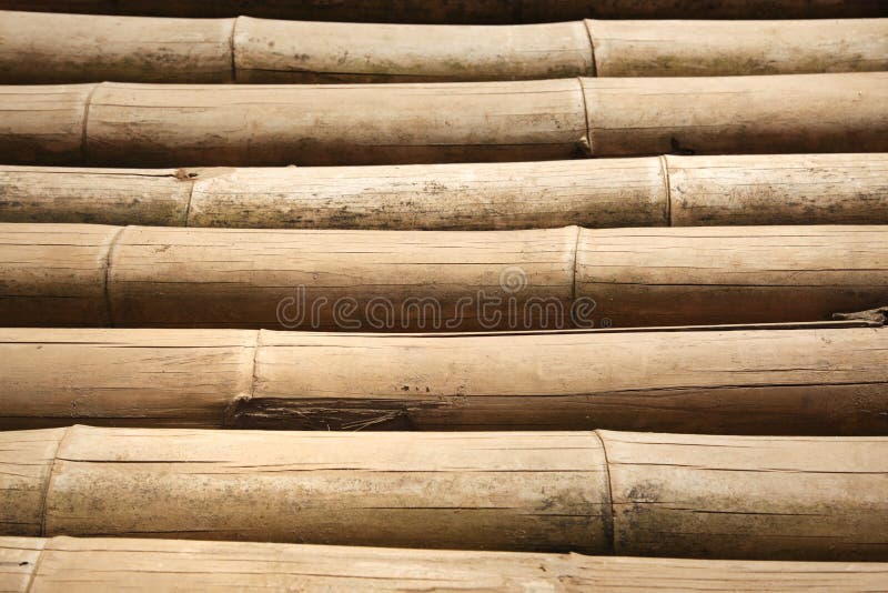 Smashed Wood stock photo. Image of wood, damaged, smashed - 3443134