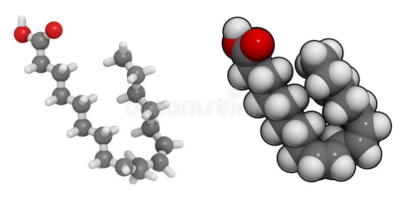ácido Linoleico La Molécula. ácido Graso Poliinsaturado Omega6. Fórmula ...