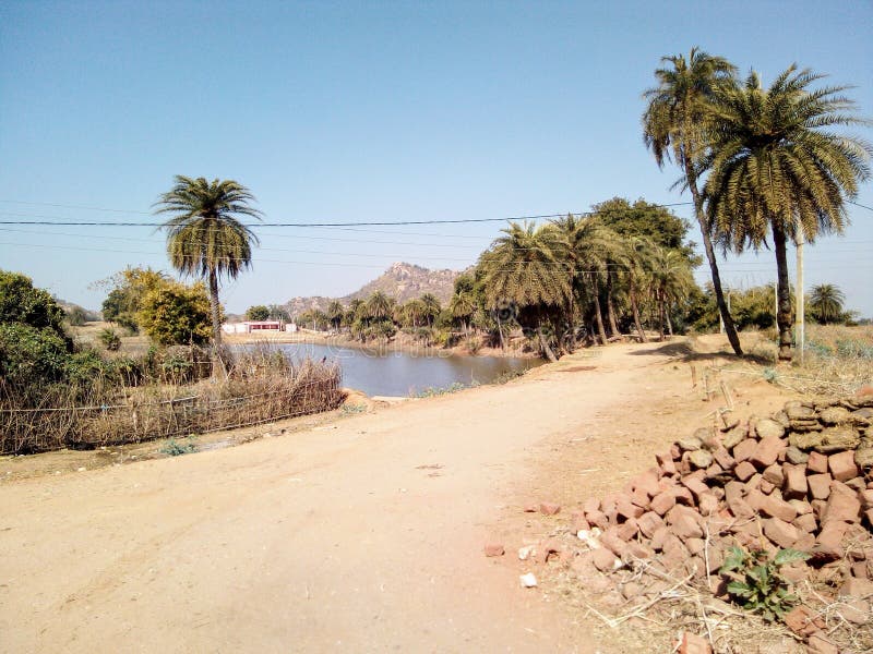 água De Coco Pani Talab Nadi Pahad Selada Foto de Stock - Imagem de ...