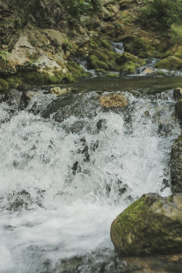 Água De Nascente Natural Das Montanhas Imagem de Stock - Imagem de ...