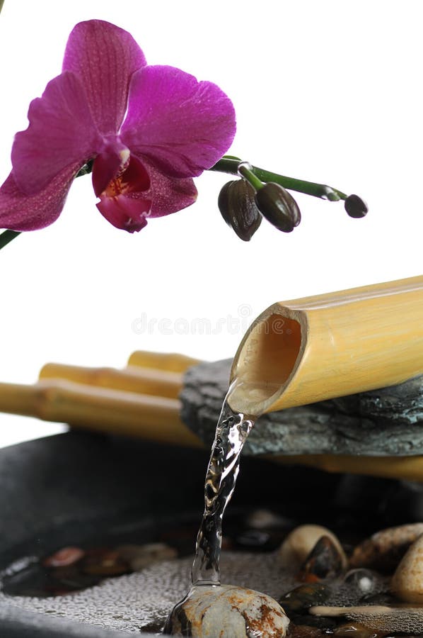 Água do zen imagem de stock. Imagem de curso, neutro, terra - 4880965