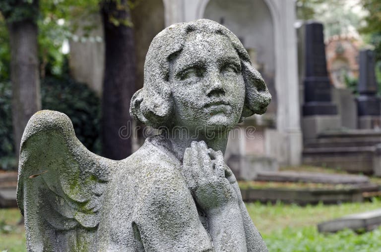 Ángel rezando imagen de archivo. Imagen de musgo, verde - 33842419