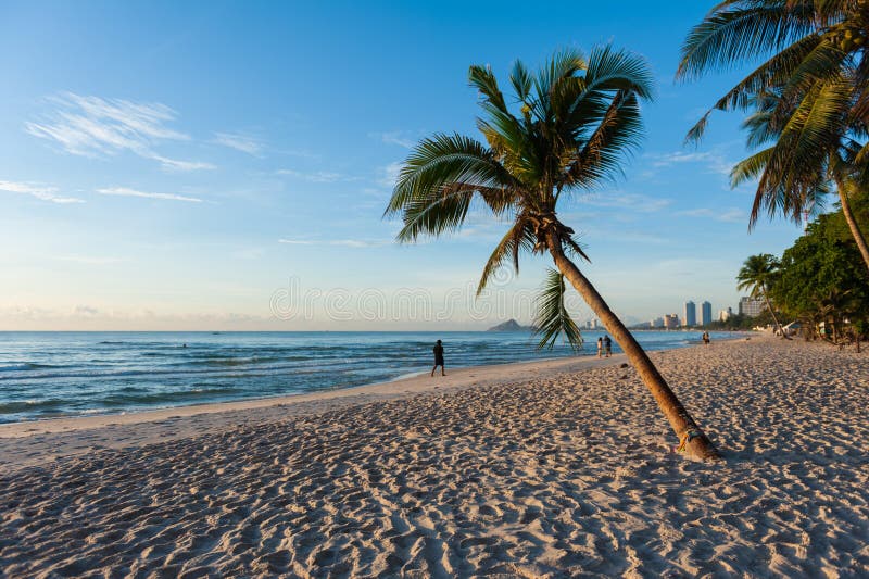 Árbol De La Playa Y De Coco Foto de archivo editorial - Imagen de tapa ...