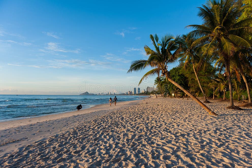 Árbol De La Playa Y De Coco Foto editorial - Imagen de tradicional ...