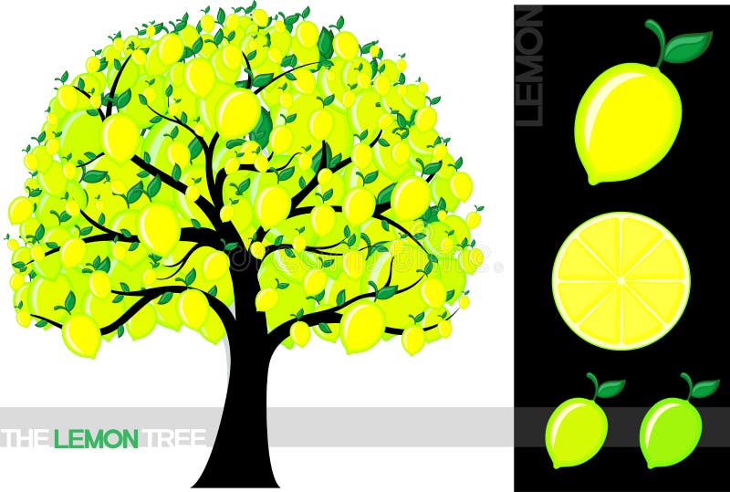 Árbol de limón ilustración del vector. Ilustración de amarillo - 20397037