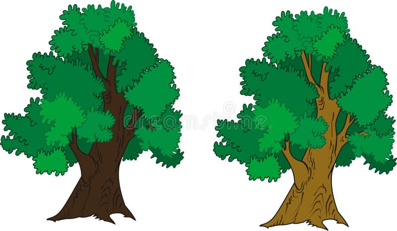 Roble ilustración del vector. Ilustración de resorte, roble - 2944582