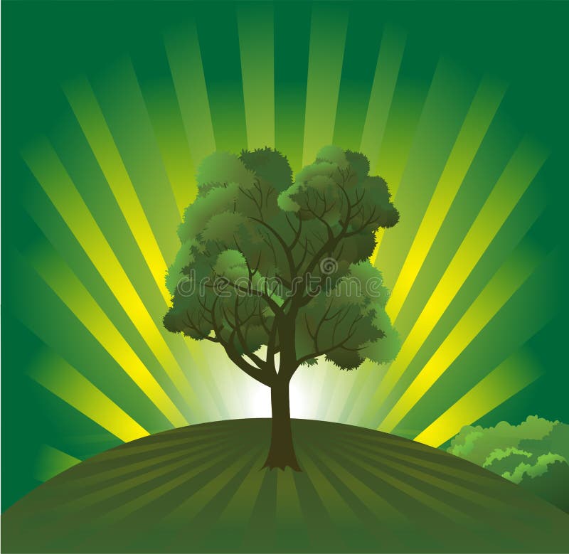 Roble Ilustraciones Stock, Vectores, Y Clipart – (69,593 Ilustraciones ...