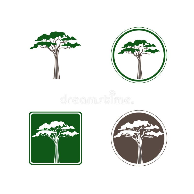 Árbol Logo Design Set Del Acacia Ilustración del Vector - Ilustración ...