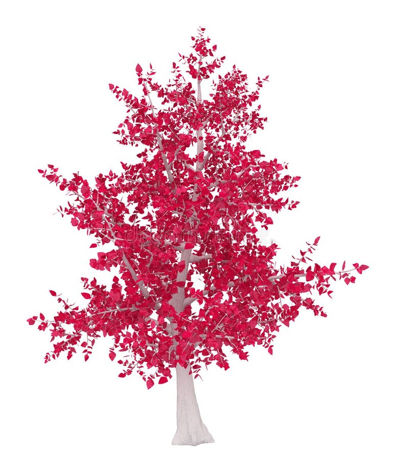 Árbol rojo y blanco stock de ilustración. Ilustración de aislado - 15081397