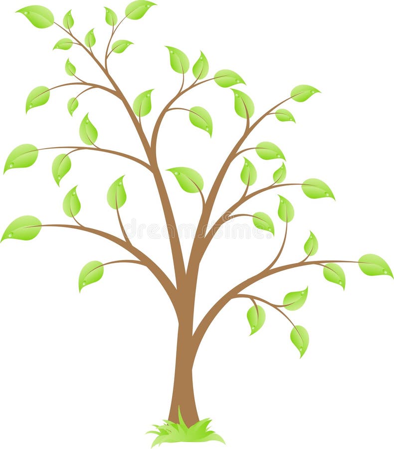 Árbol simple ilustración del vector. Ilustración de pintura - 13850876