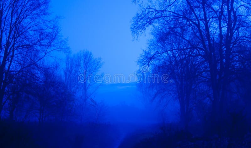 Árboles azules foto de archivo. Imagen de espeluznante - 41901232